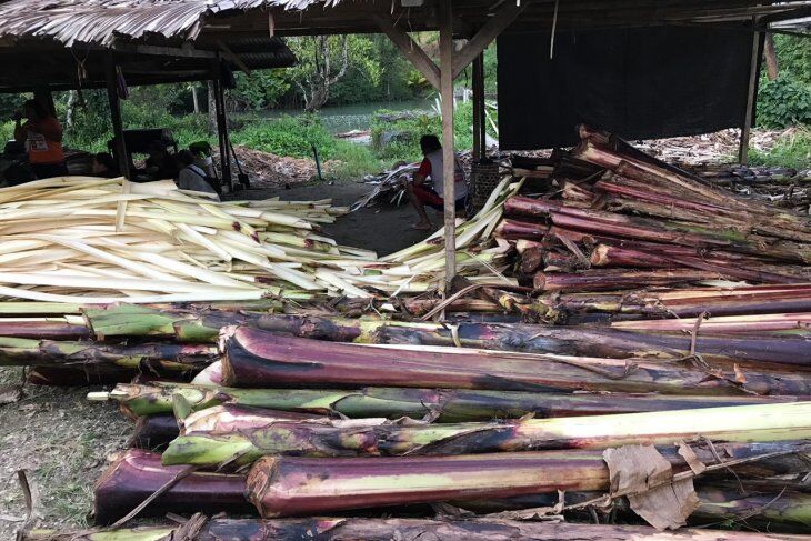 Expand Your Product Line with Our Versatile Rattan Options