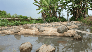 Discover the artistry of Indonesian rattan